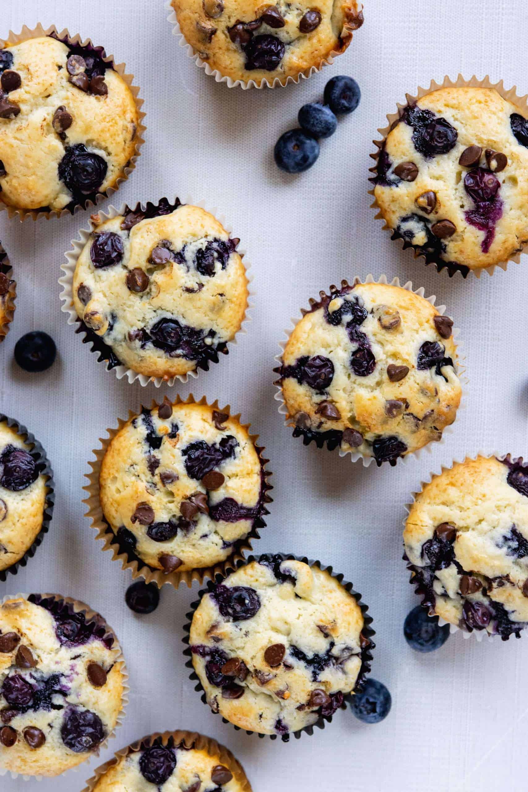 Blueberry Chocolate Chip Muffins